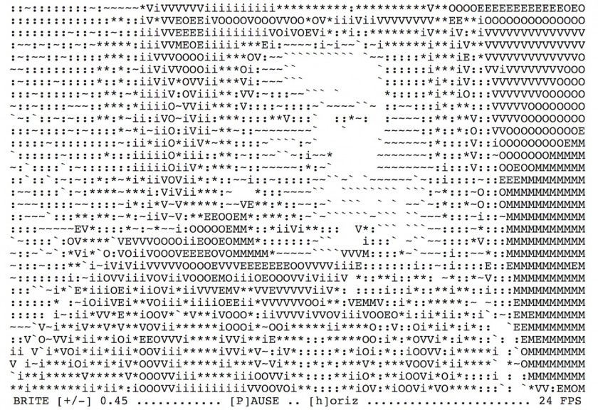 Utiliser sa webcam pour faire son portrait en ASCII | Geeks and Com'