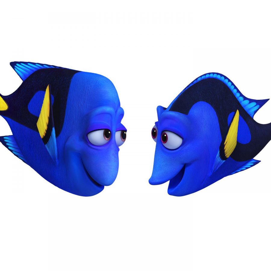 Les personnages du Monde de Dory se dévoilent en images
